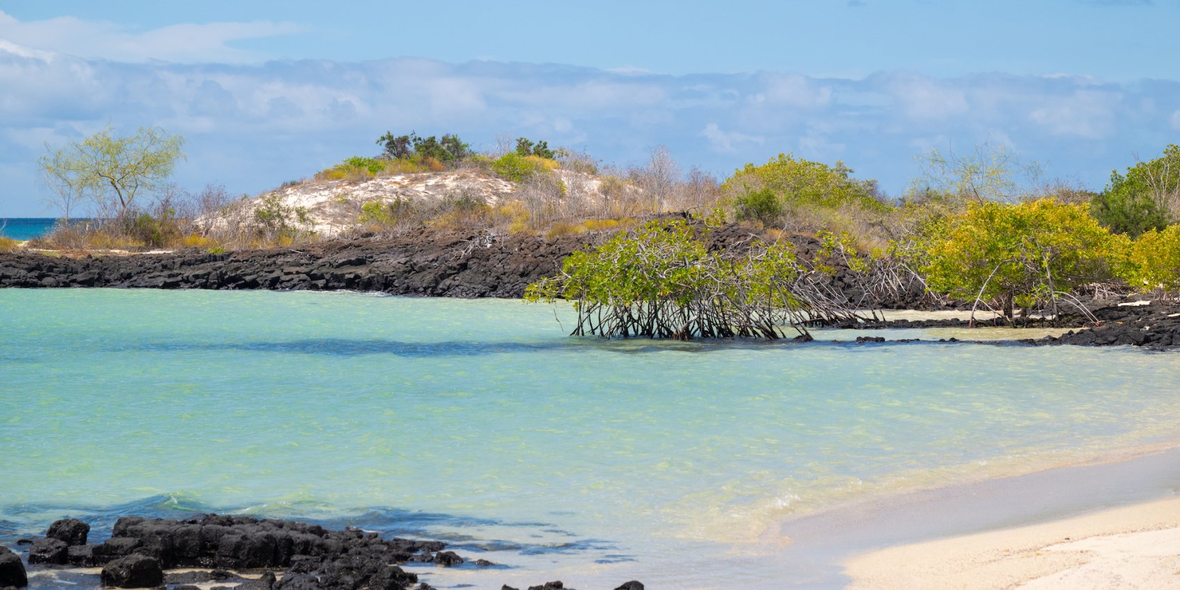 Top 5 Islands to Visit in the Galapagos | Adventure Unbound